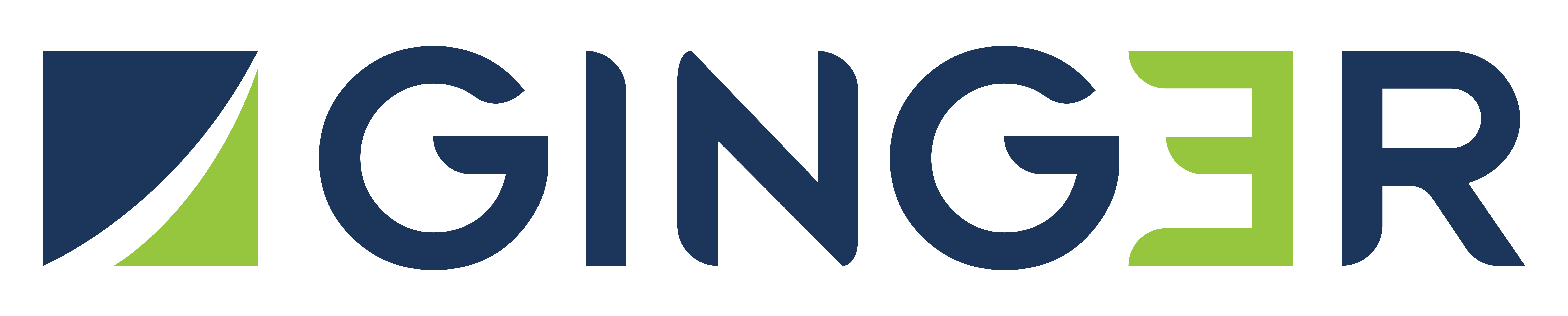 Ginger Group : about us